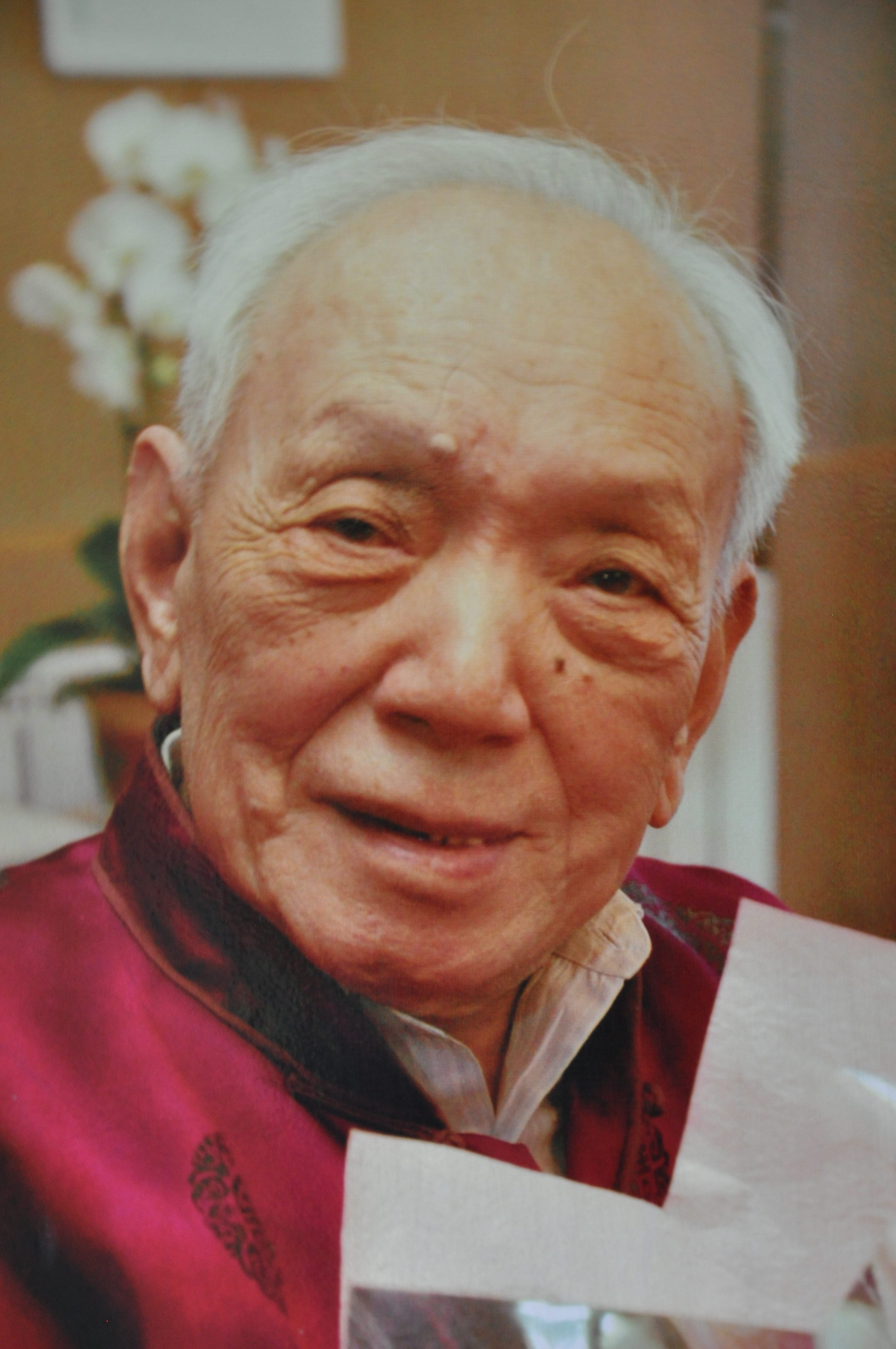 Celebratio Mathematica — Chern — Images