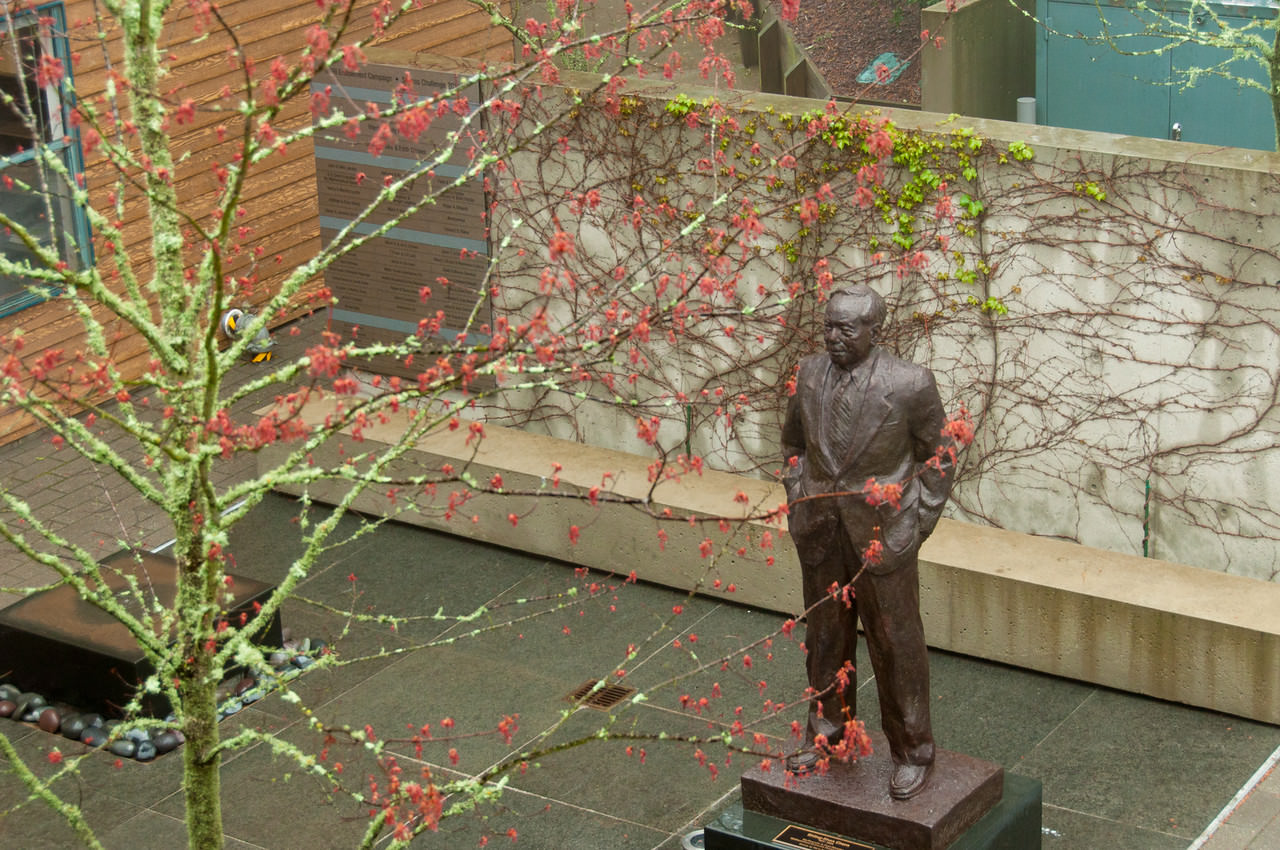 Celebratio Mathematica — Chern — Images