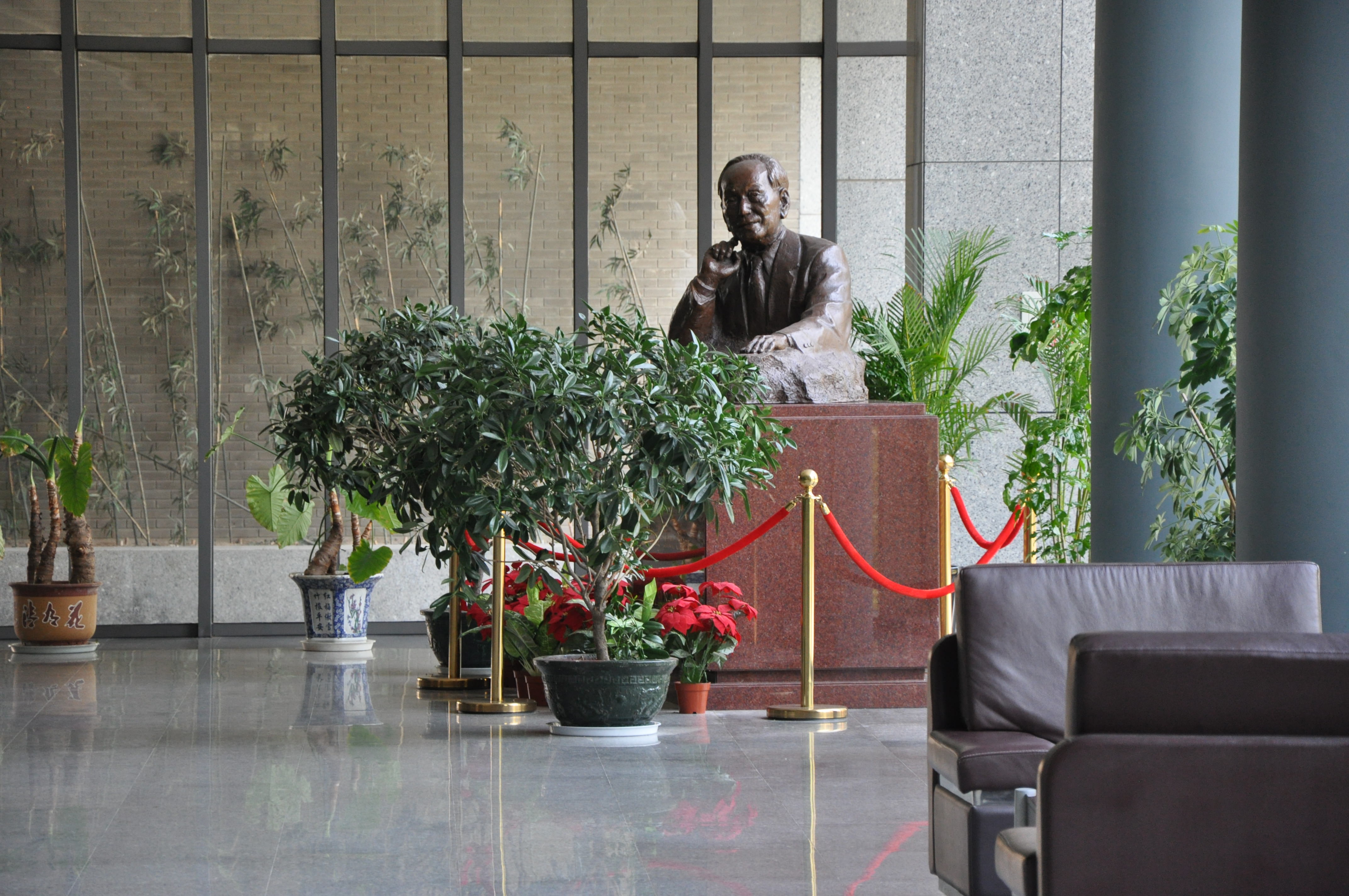 Celebratio Mathematica — Chern — Images